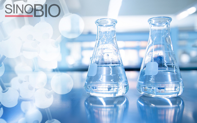 Leading Chemical Manufacturer - Sinobio Chemistry